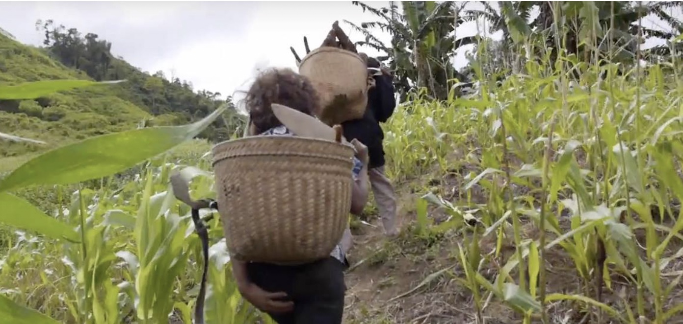 A NEVER ENDING STORY: Lumads of Mindanao & their fight to keep their ...