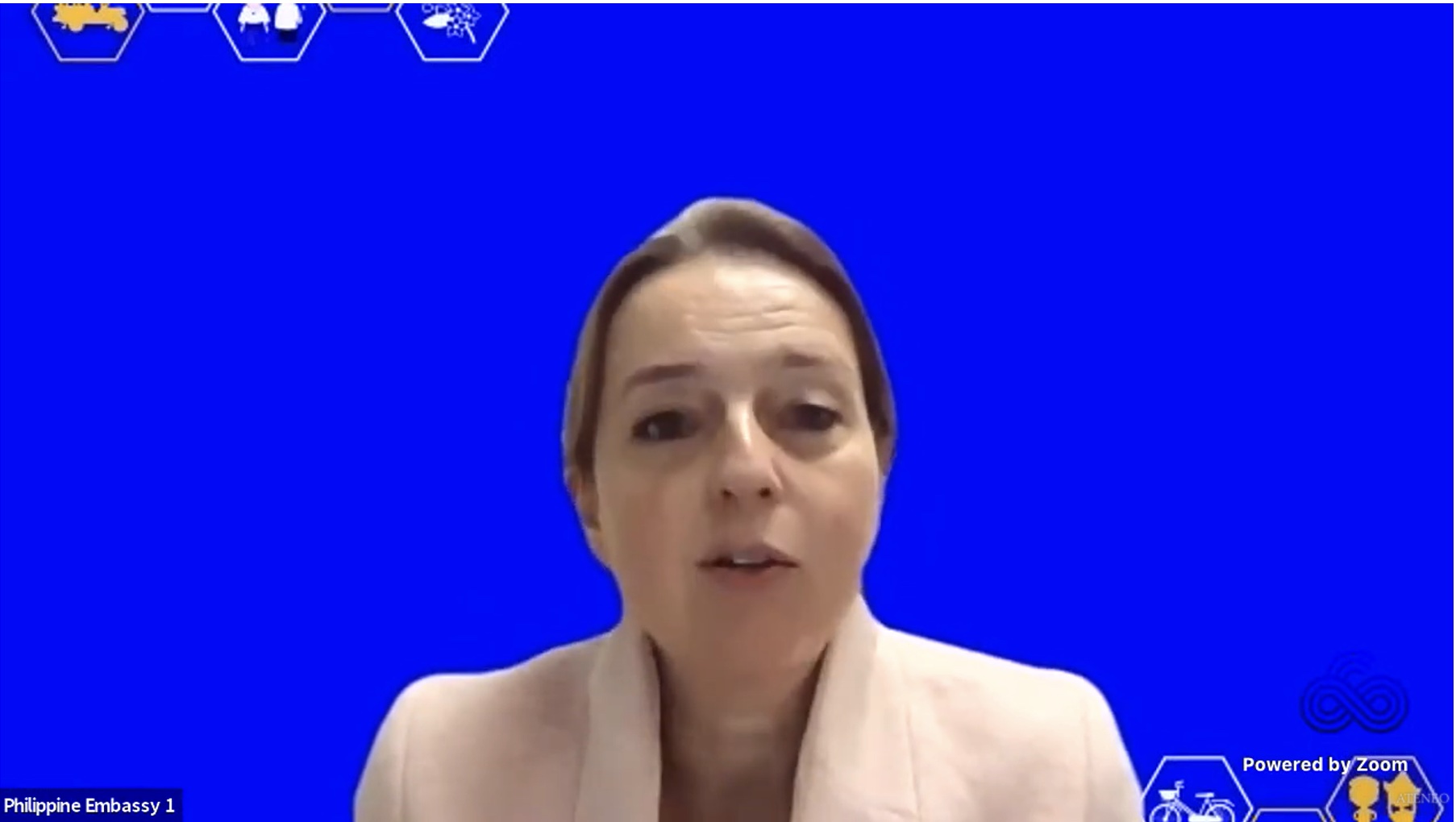 PHL and Netherlands map out areas for further cooperation at webinar ...