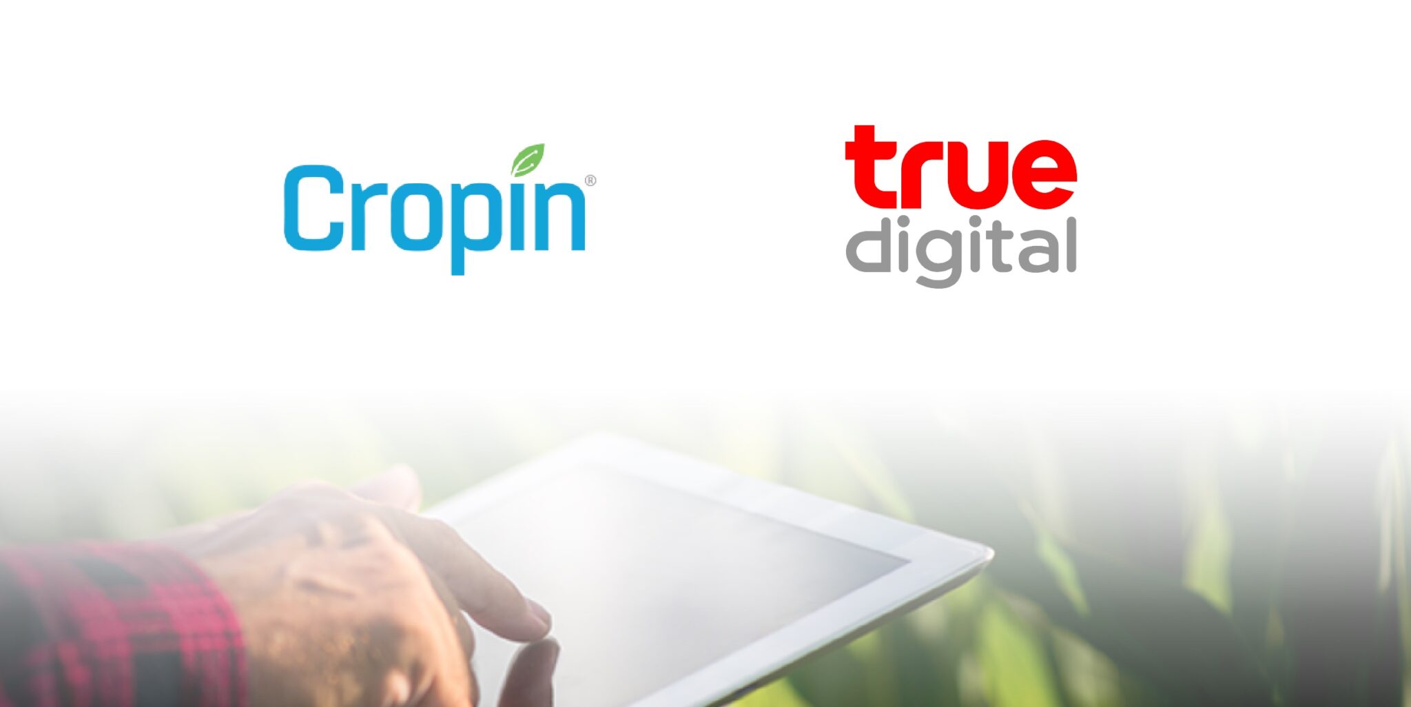 Cropin partners with True Digital Solutions to accelerate digital ...