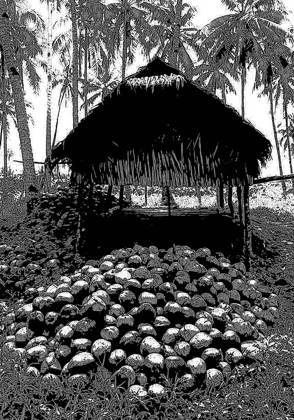 GRANDSON OF BAYAWAK - Philippines Graphic