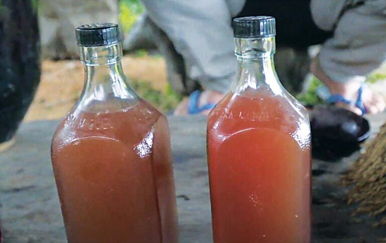 Rice Wine - Philippines Graphic