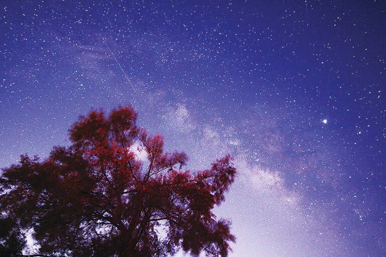 Dead Stars - Philippines Graphic