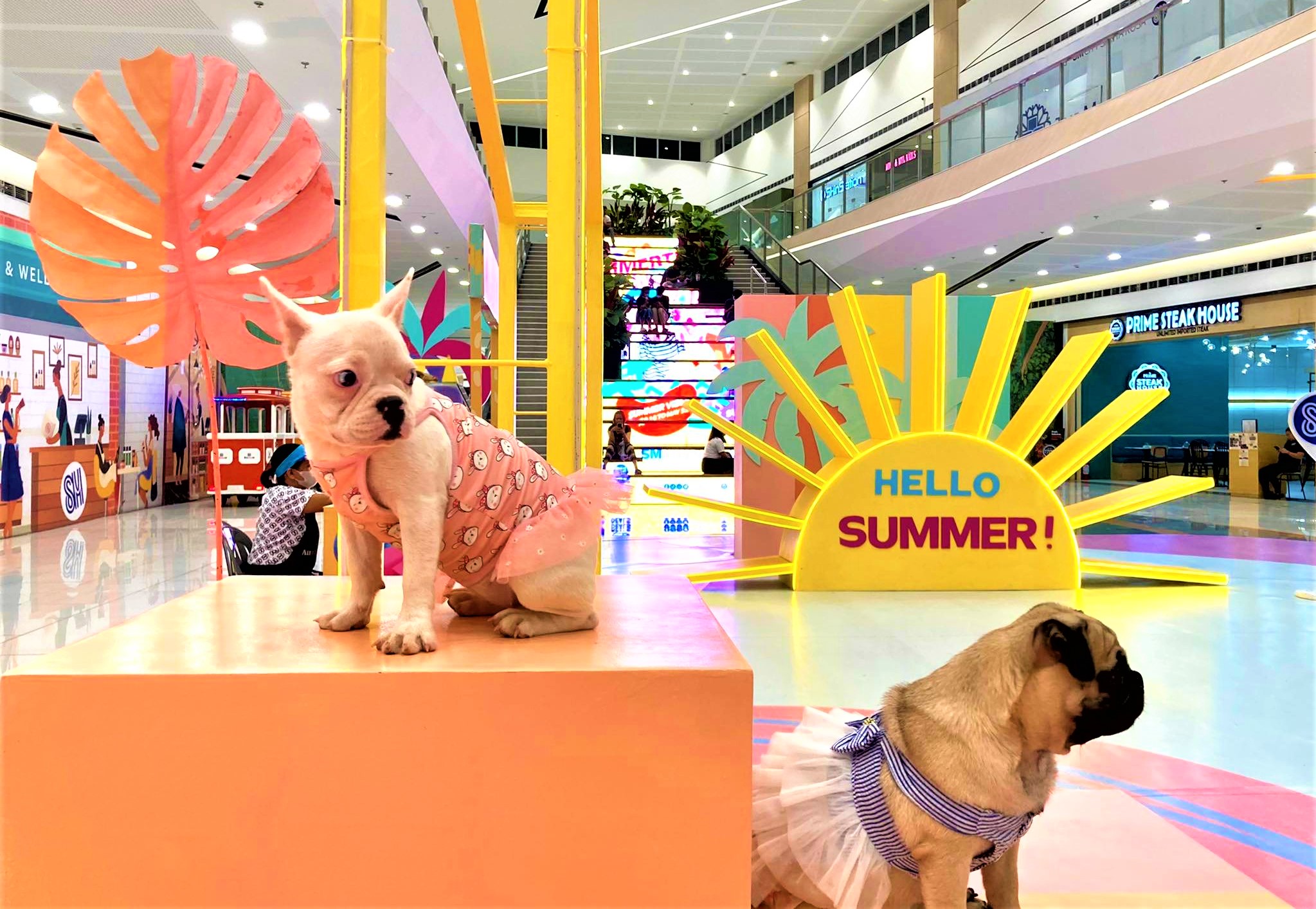 It’s Summertime at SM Supermalls - Philippines Graphic
