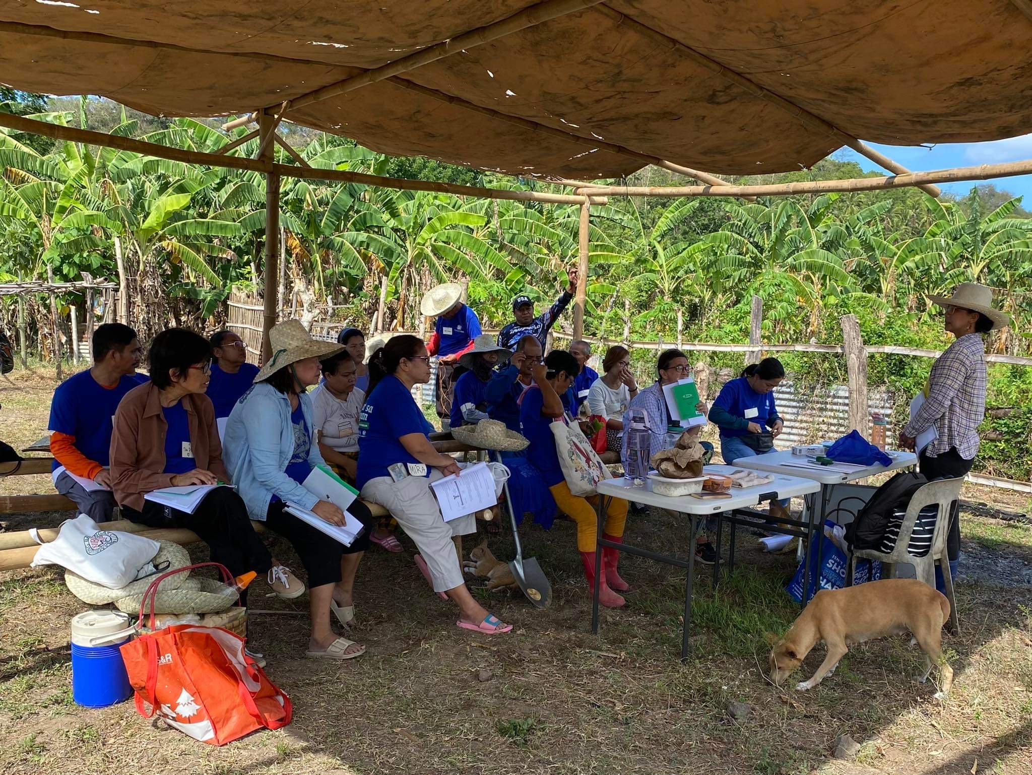 SMFI launches farmer’s training in Calabarzon - Philippines Graphic