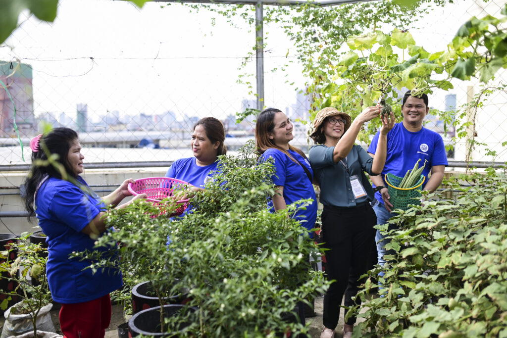 Hope in farming takes root in urban communities - Philippines Graphic