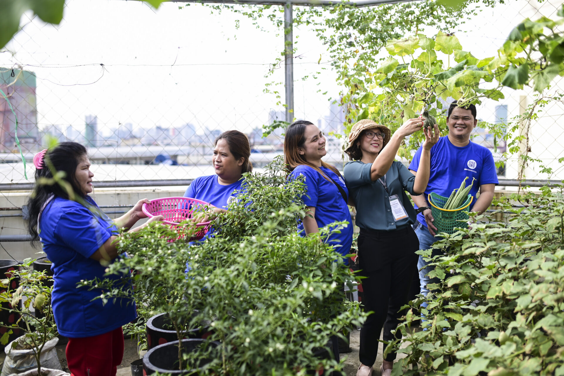 Hope in farming takes root in urban communities - Philippines Graphic