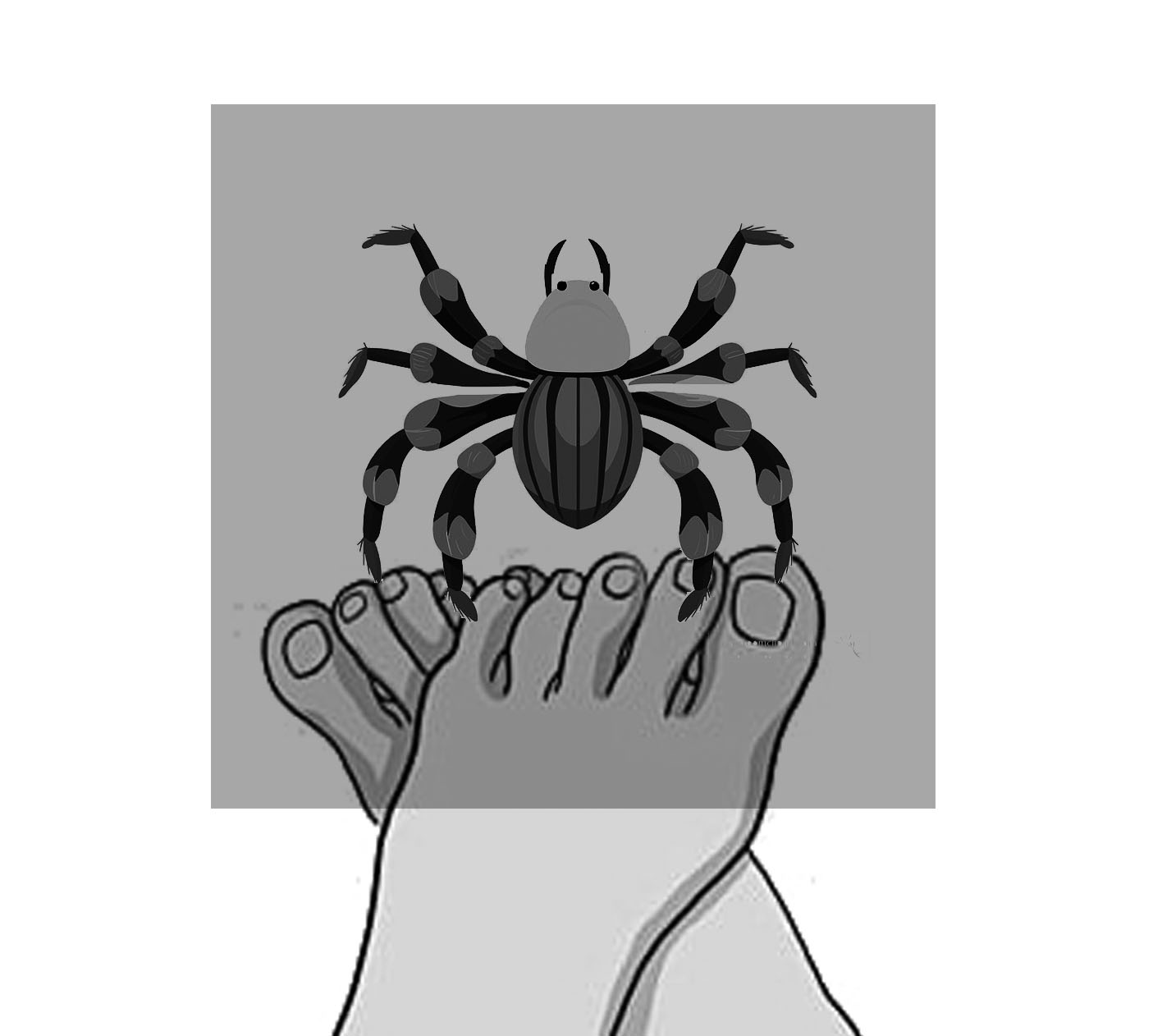 Eight Legs Is All - Philippines Graphic