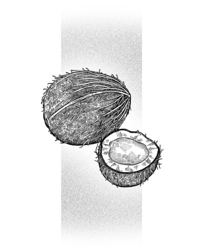 Bunót - Philippines Graphic