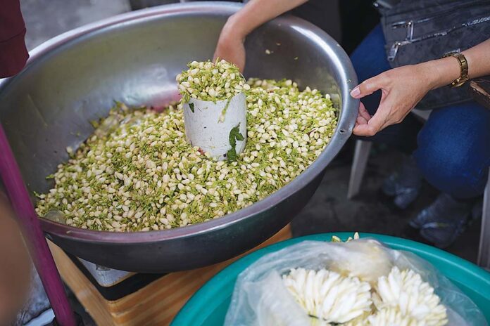 “Let a million sampaguitas bloom again” - Philippines Graphic