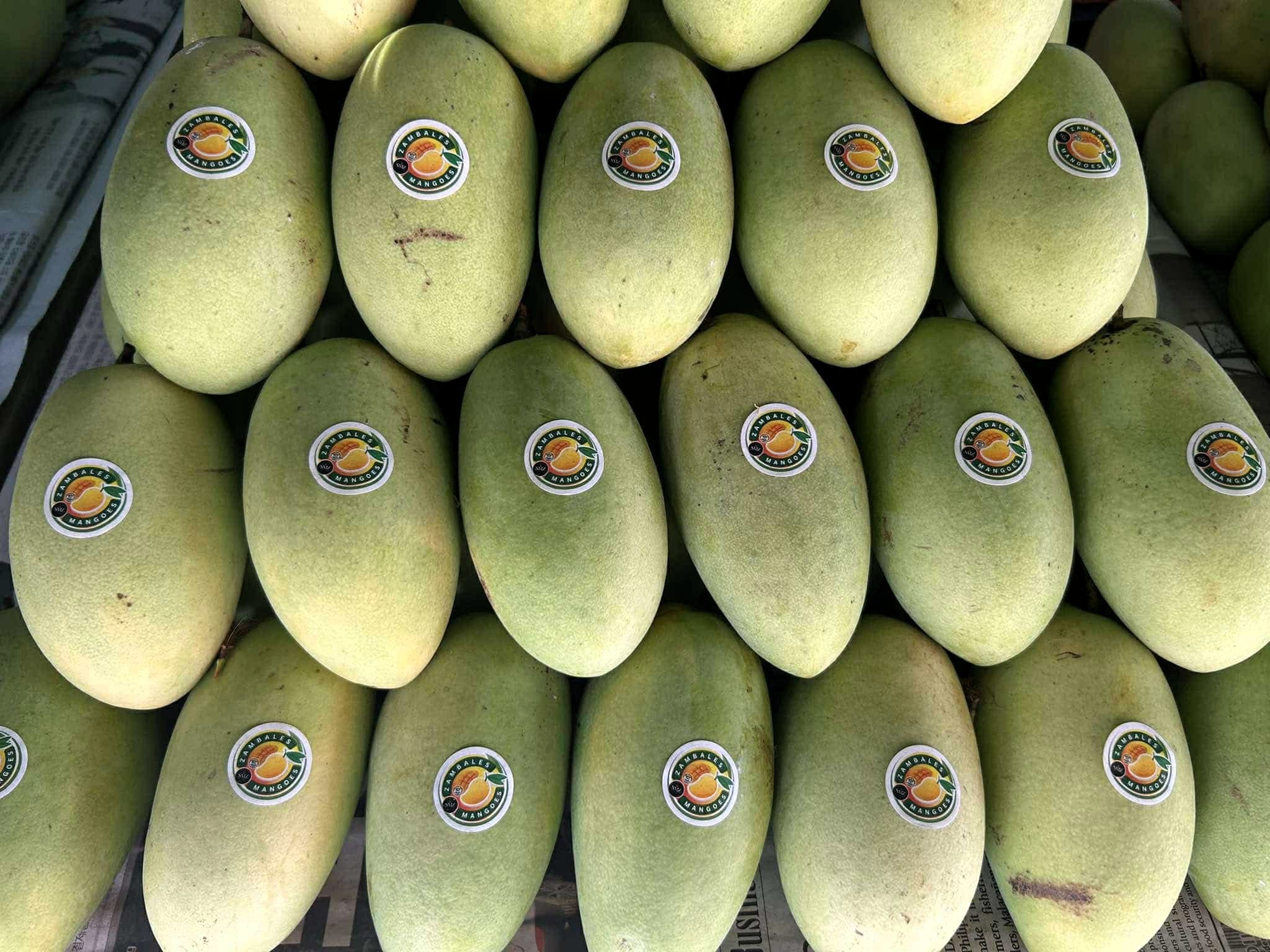 Gov. Ebdane: Product dev’t ongoing to boost Zambales mango industry ...