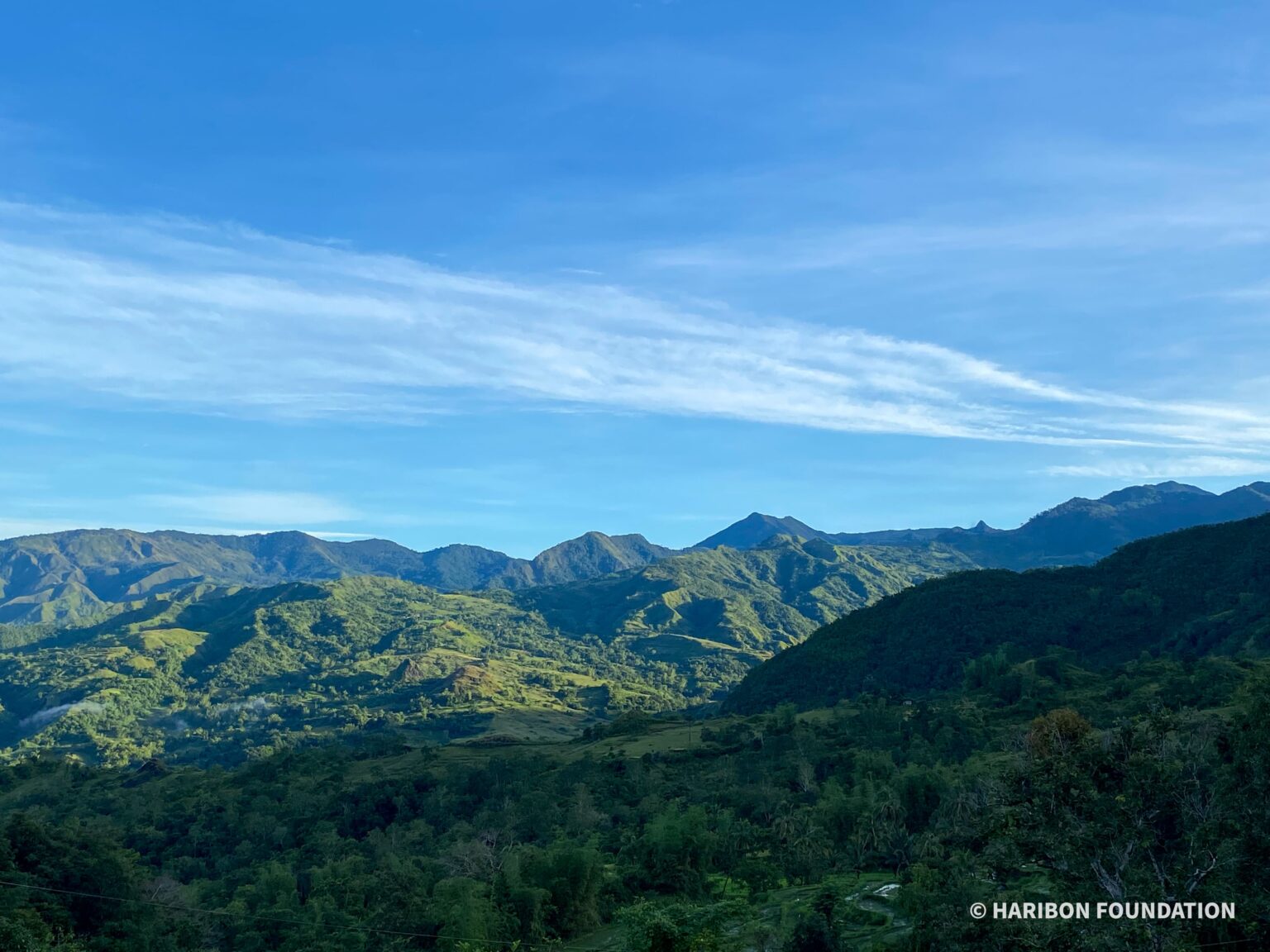 As Typhoons Tino & Uwan leave their mark, Haribon marks 53 years of ...