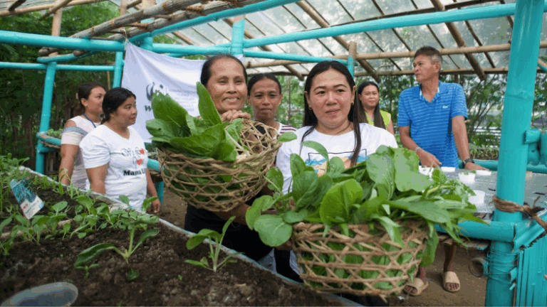 Sun Life Foundation, WWF Philippines scale up food security and climate ...